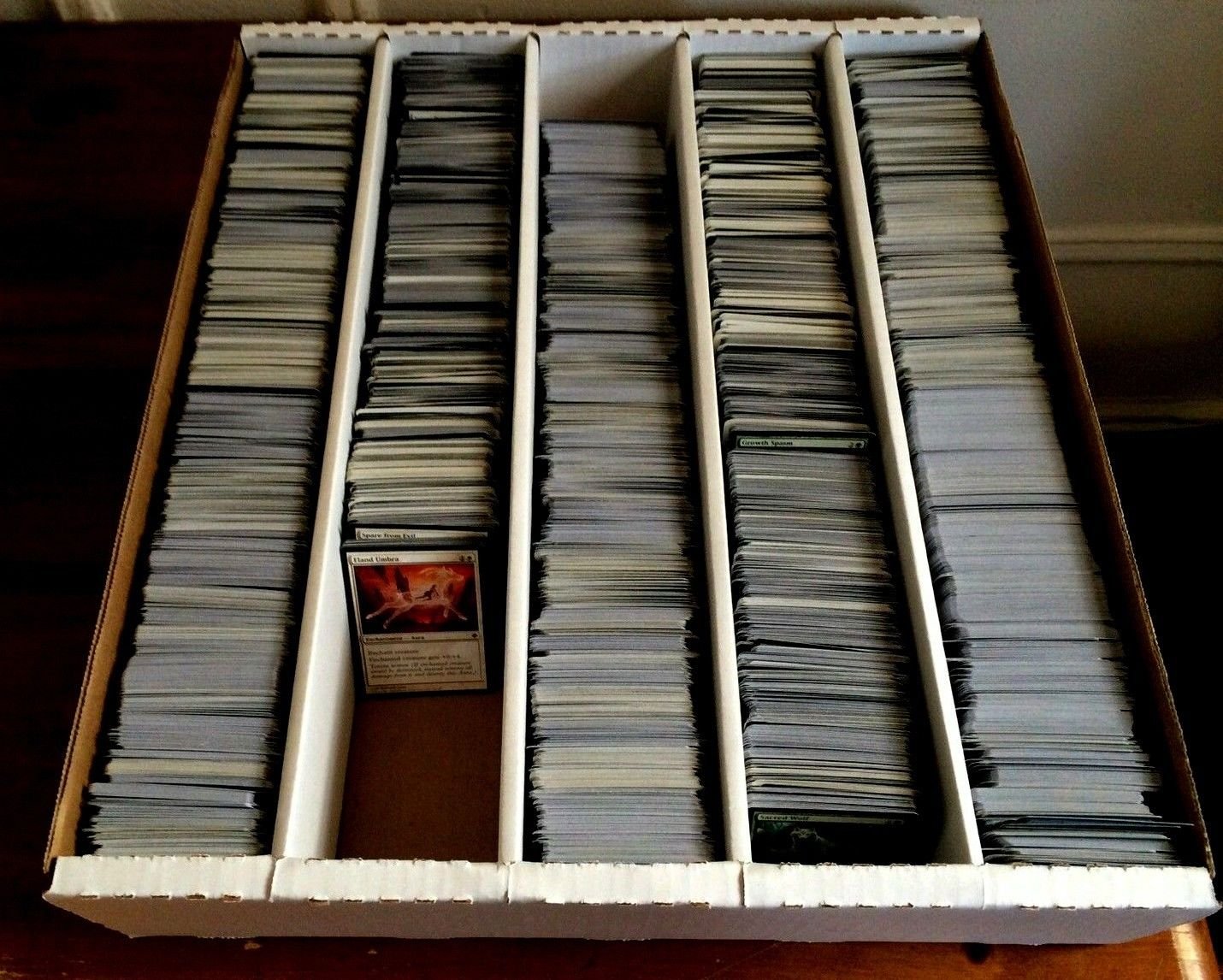 Huge 4000 Card Magic The Gathering Card Collection - Includes 100+ Rares, Uncommons, Commons, and Possibly Mythics! MTG Bulk Lot