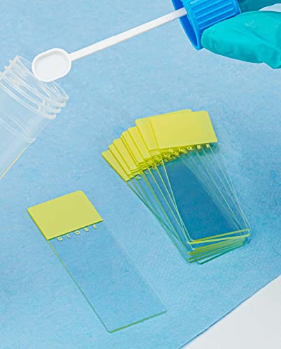 Globe Scientific 1324Y Glass Microscope Slide, 25 x 75mm Size, Ground Edges with Safety Corners, Yellow Frosted (1,440 slides)