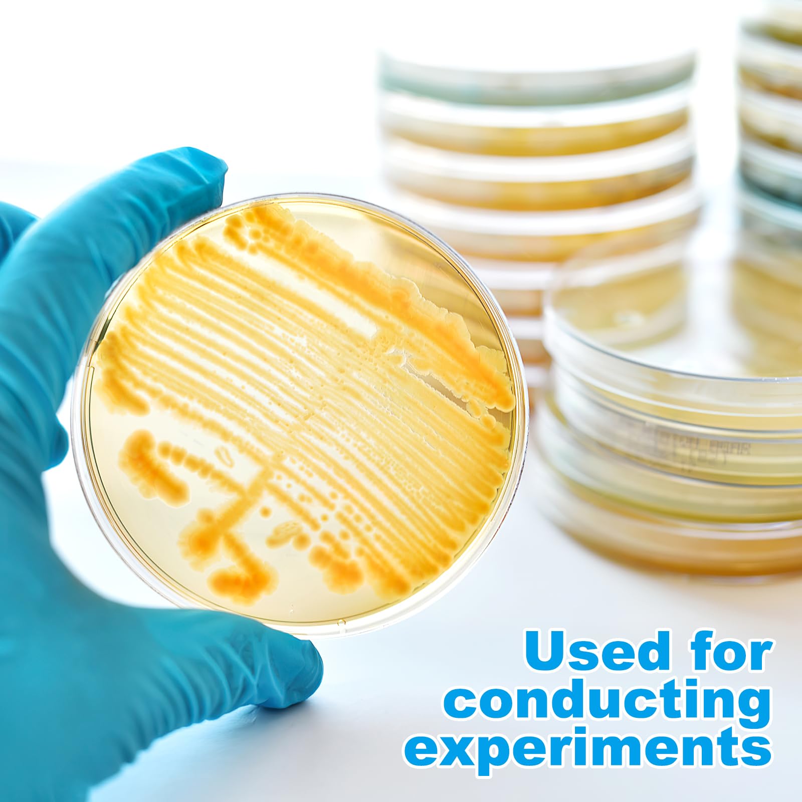 Generic Agar Plates:Prepoured Nutrient Agar Petri Dishes Science Projects Supplies Growth Medium for Mushrooms & Science Fair Projects,10 pcs