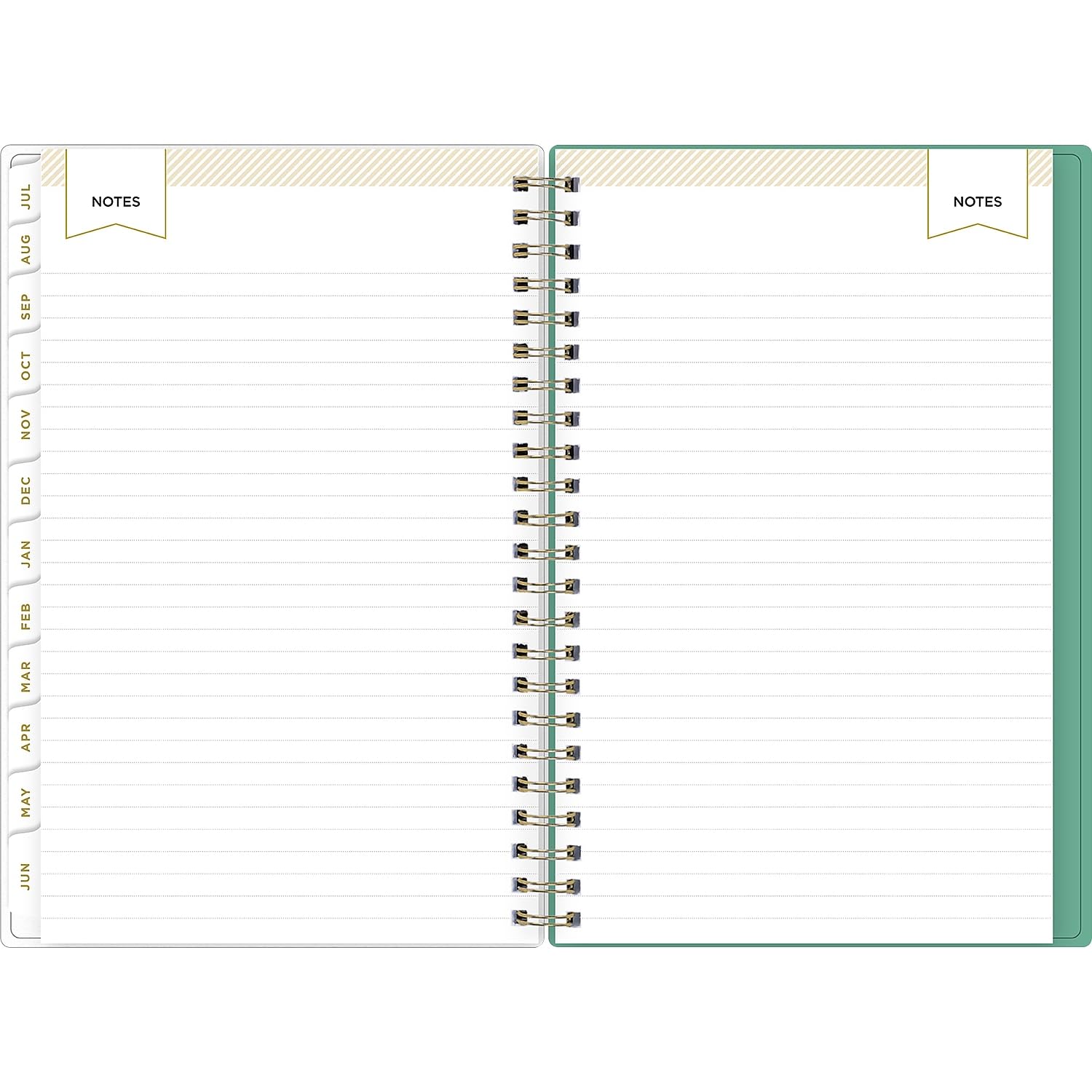 Blue Sky Day Designer for 2023-2024 Academic Year Weekly and Monthly Planner, 5' x 8', Frosted Flexible Cover, Wirebound, Palms (137892-A24)