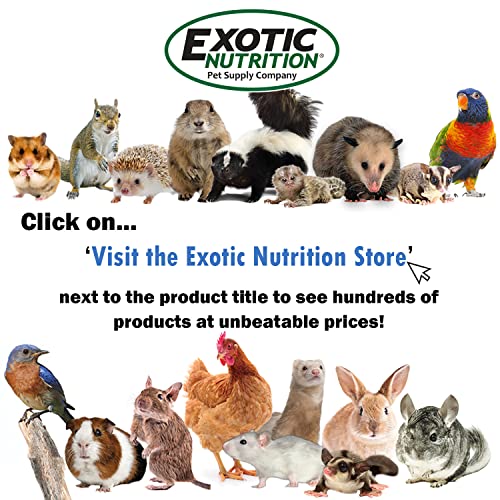 Durable All-Metal Mansion Cage for Chinchillas, Rats, Ferrets, Degus (2-Level)