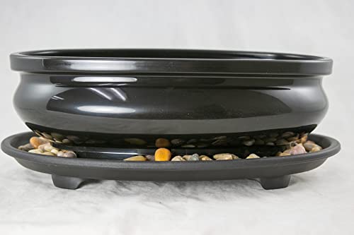 Calibonsai 9'' Oval Heavy Duty Black Plastic Bonsai Training Pot, Cactus & Succulent Planter + Tray + Rock + Mesh Combo