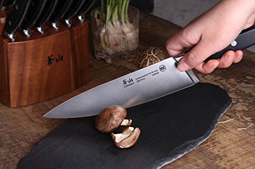 Cangshan TV2 Series 1023053 Swedish 14C28N Steel Forged 17-Piece Knife Block Set, Acacia