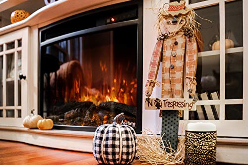 e-Flame USA Jackson 25"x21" LED Electric Fireplace Stove Insert with Remote - 3D Logs and Fire (Black)
