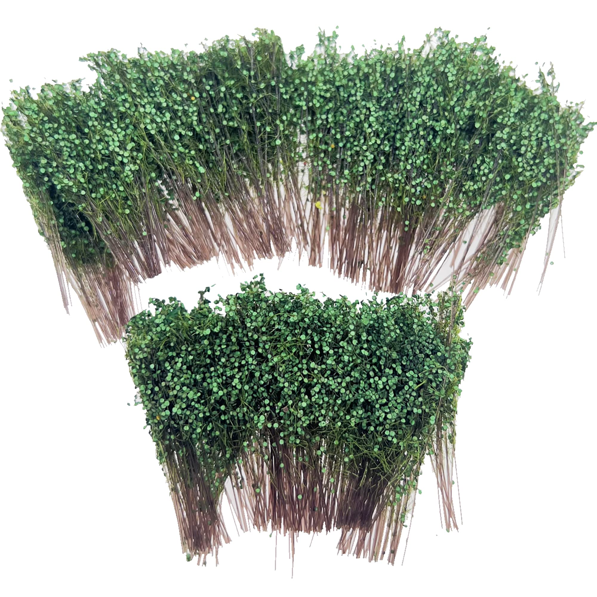 Woohome Green Miniature Shrubs Model Bushes Long Shrub Vegetation Groups Model Grass Tufts for DIY Architecture Building Model Railway Train Diorama Garden Scenery Landscape Layout