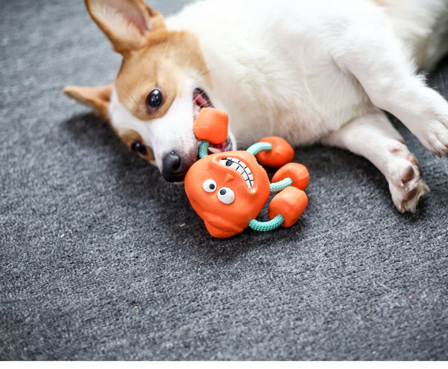 Dog Chew Toy Durable Dog Chew Toys for Puppy Small Large Dog Teeth Cleaning/Chewing/Playing (Orange Apple)