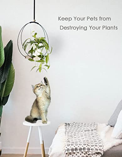 Dravmola Plant Hanger with Wood Base - Boho Macrame Hanging Plant Holder for Indoor Plants Hanging Planter for Wall/Window/Room Decor Black (Pot & Plant Not Included)