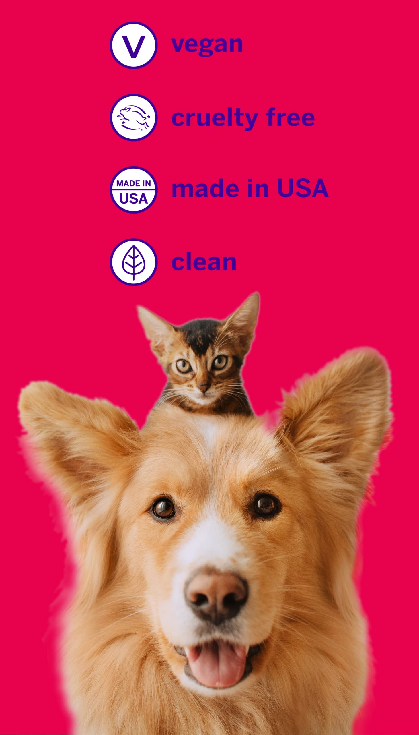 Petsmile Professional Pet Tooth Brushing Kit - Cat & Dog Toothbrush and Toothpaste for Plaque, Tartar, & Bad Breath - VOHC Accepted Non Enzymatic Cat & Dog Toothpaste (Rotisserie Chicken, 2.5 Oz)