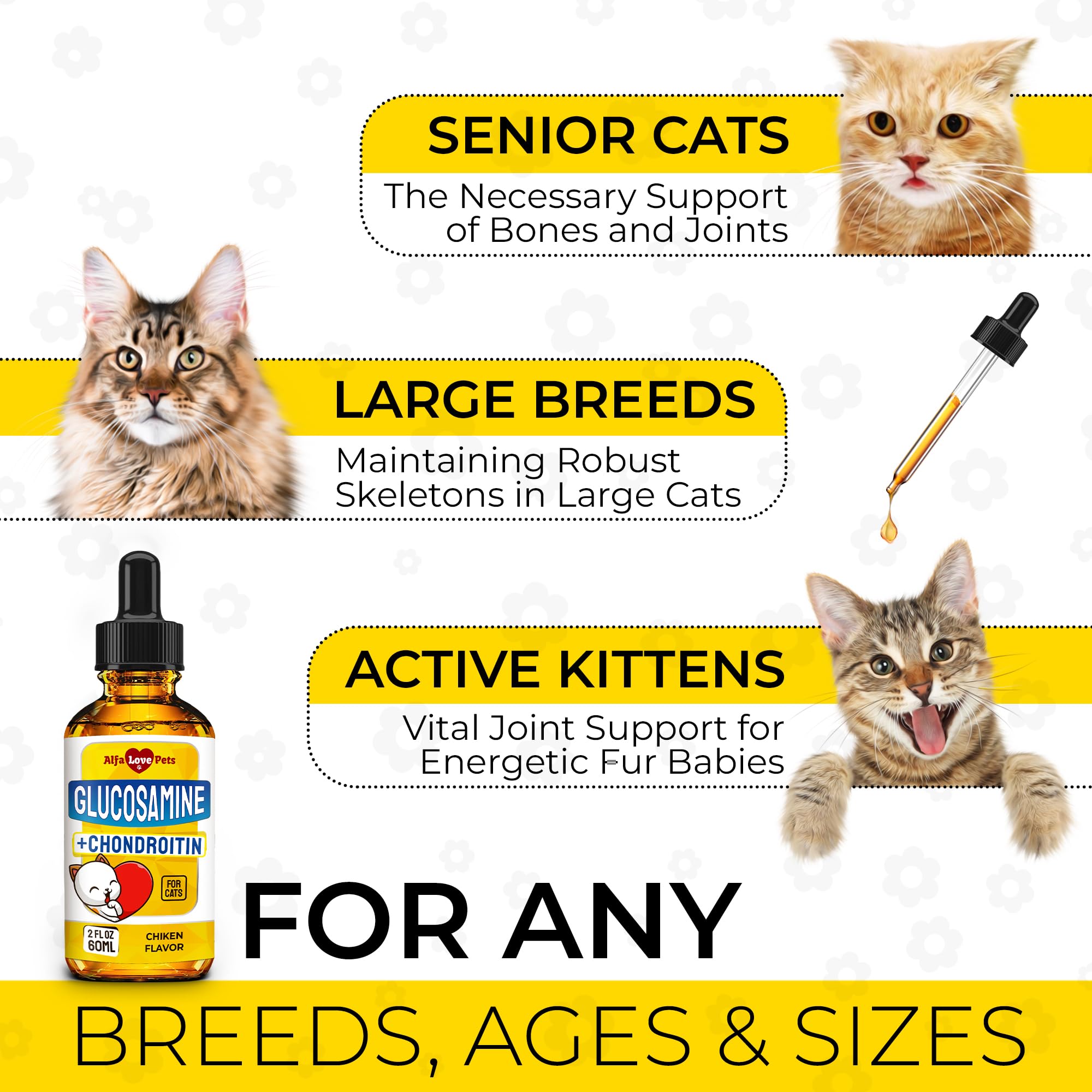 Cat Joint Supplement ✿ Cat Glucosamine ✿ Glucosamine Chondroitin MSM ✿ Joint Supplement for Cats ✿ Glucosamine for Cats ✿ Glucosamine Chondroitin for Cats ✿ Cat Hip and Joint Supplements ✿ 3 Packs