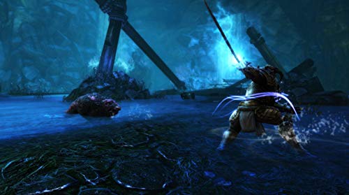 Kingdoms of Amalur Re-Reckoning - Nintendo Switch
