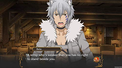 Is It Wrong to Try to Pick Up Girls in A Dungeon: Infinite Combat - PlayStation 4