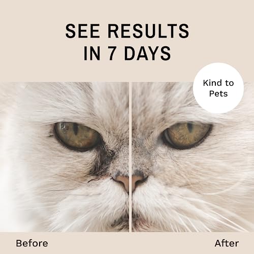 Eye Envy Cat Tear Stain Remover Starter Kit | Tear Stain Essentials in one kit at a 2-Step System | Lasts 30-45 Days | Solution 2 fl.oz, Applicator Pads 30 Count and Powder 0.5oz