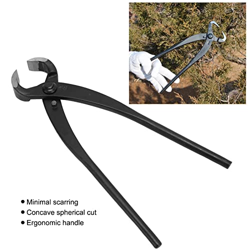BranchScissors, Wear Resistant ConcaveBranchCutter for Bonsai for Branch for Plant