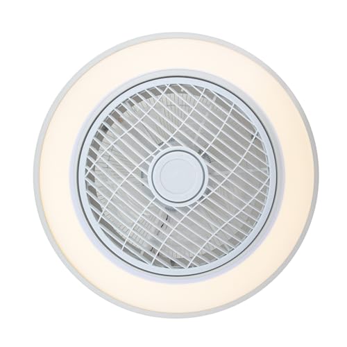 Ceiling Fan Light, Remote Control LED Lamp Round Dimmable Bedroom Office Intdoor Ceiling Fans for Home