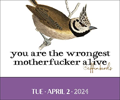 Effin' Birds 2024 Day-to-Day Calendar