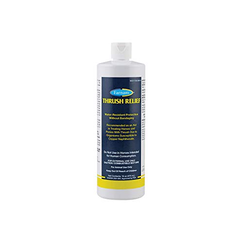 Farnam 100520087 270726 Relief Thrush Treatment Aid in Horses and Ponies, 16 oz, Brown