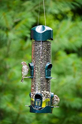 Brome Mega 600 Metal Tube Feeder w/6 Seed Ports, 4 lbs seed capacity