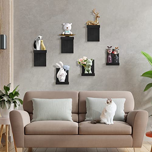 GDYUS Floating Shelves, Wood Small Floating Shelf Wall Mounted, Hanging Display Shelves Set of 3, Wall Shelf for Bedroom Living Room Bathroom Office Decoration