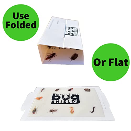 Bug Shield Sticky Glue Traps 12 Glue Boards, All Types of Incets, Spiders, Cockroaches, Ants, Cave Crickets, and More. Professional Strength Glue.