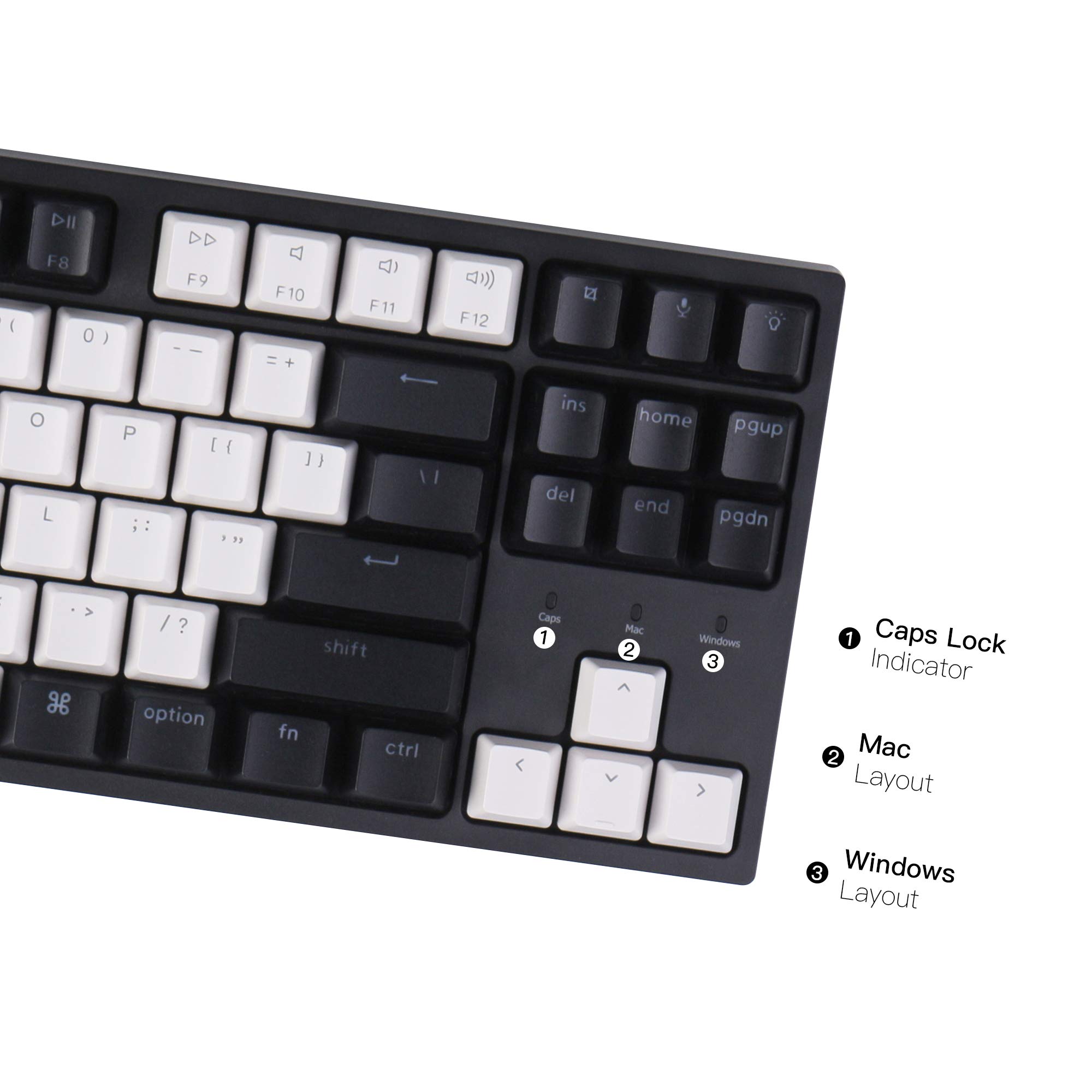 Keychron C1 Hot-swappable Wired Mechanical Keyboard with Gateron G Pro Blue Switch/Double-Shot ABS Keycaps/White Backlight/USB Type-C Cable, Tenkeyless 87 Keys Computer Keyboard for Mac Windows PC