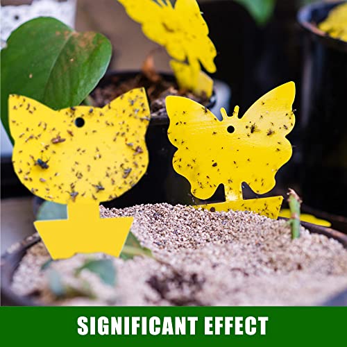 BUGKILLER 30PCS Yellow Fruit Fly Traps for Indoors, Fungus Gnats Sticky Traps for Plants, Gnat Traps for House Indoor, Used for Mosquitoes, Whiteflies, Thrips, Leaf Miners...(Non-Toxic, Dual Sided)