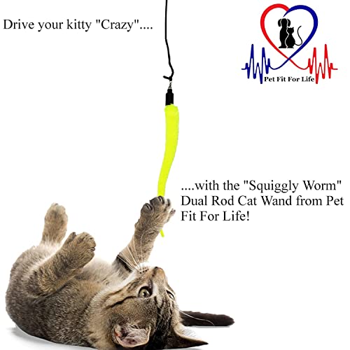 Pet Fit For Life Cat Wand Toy: 5-Piece Worm Teaser & Exerciser - Durable Flirt Pole/Cat Teaser Toy β Interactive Fun for Feline Fitness