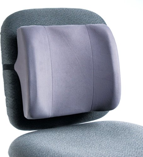 Fellowes Standard Back Rest, Graphite (91926)