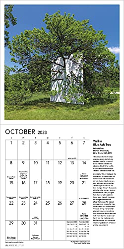 Environmental Art 2023 Wall Calendar: Contemporary Art in the Natural World | 12" x 24" Open | Amber Lotus Publishing