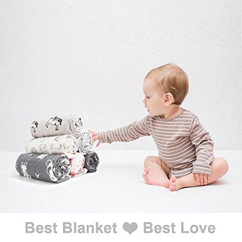 BORITAR Baby Blanket Super Soft Minky with Double Layer Dotted Backing, Little Grey Arrows Printed 30 x 40 Inch, Receiving Blankets