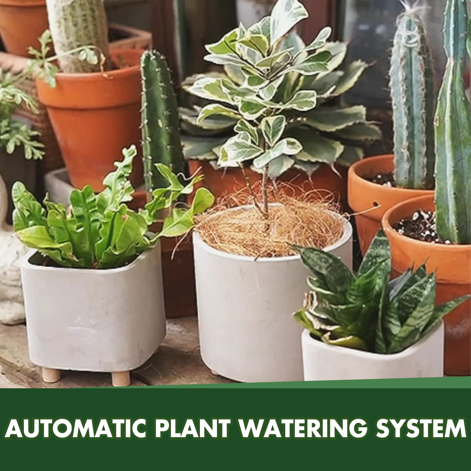 Automatic Plant Waterer for Indoor and Outdoor Plants - Self Watering System with Long Needle Design