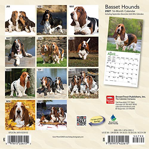Basset Hounds 2021 Calendar