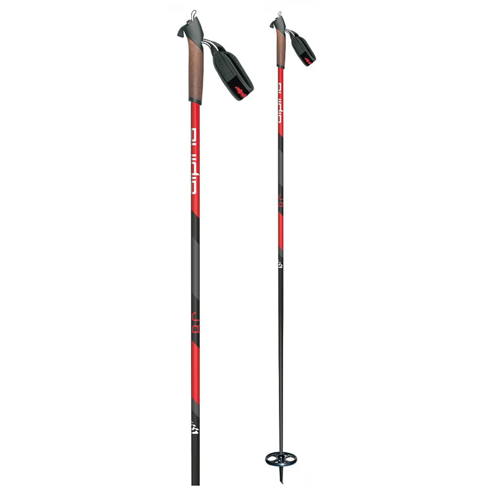 ALPINA BC Cross Country Ski Poles 2022 135