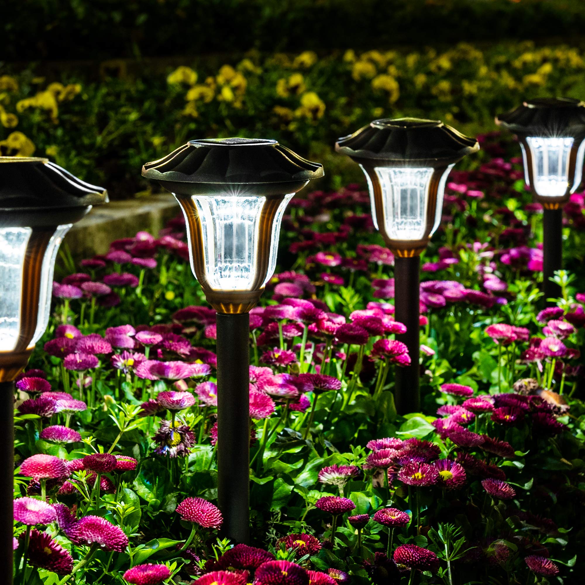 GIGALUMI Solar Pathway Lights, 8 Pack Bright Solar Garden Lights, Solar Powered Walkway Lights, Solar Lights Outdoor Waterproof Solar Path Lights for Yard, Patio, Driveway (Cold White)…