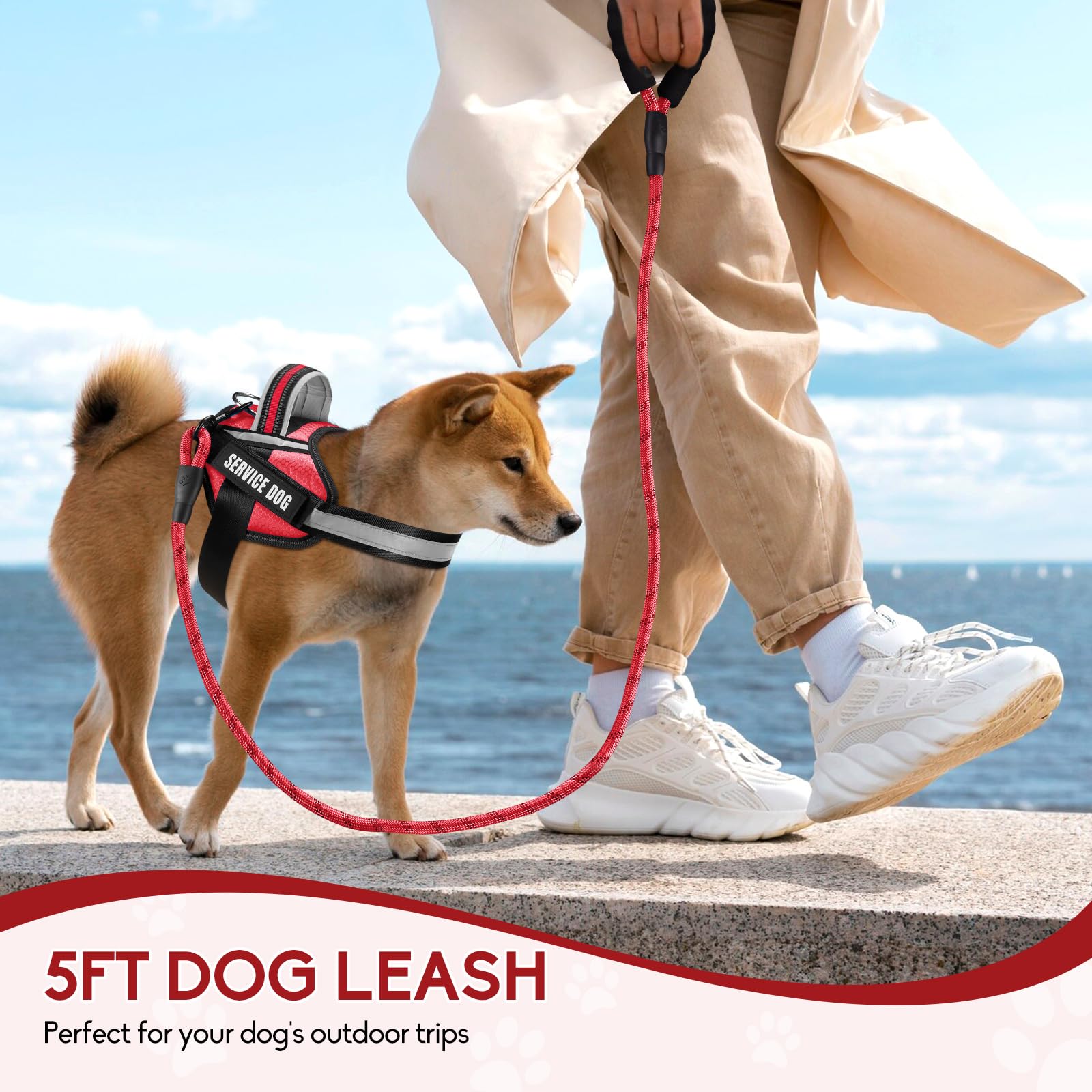 Service Dog Vest Harness and Leash Set, Animire in Training Dog Harness with 10 Dog Patches, Reflective Dog Leash with Soft Padded Handle for Small, Medium, Large, and Extra-Large Dogs (RED,XS)