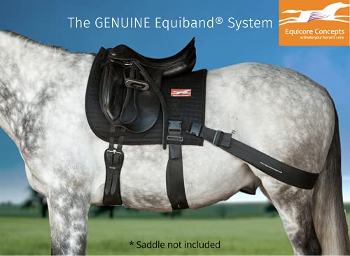 Equiband Equicore Concepts Complete System, Large Size, Oversize Horse