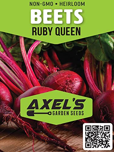 Beet Seeds for Planting - Non-GMO Heirloom Seed Packets with Instructions to Plant & Grow an Outdoor Vegetable Garden - Great Gardening Gift - 50 Ruby Queen Beet Seeds Per Packet (1 Packet)