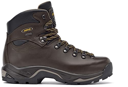 Asolo Men's TPS 520 GV EVO Long Distance, Backpacking, Trekking, Technical Terrian Hiking Boots (Chestnut, 11)