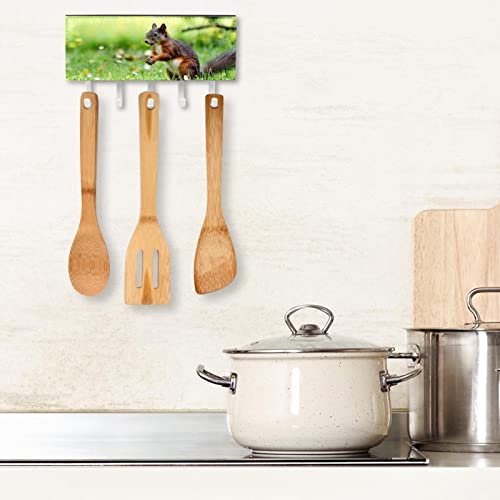 Cute Squirrel Mail Holder Organizer and Key Hooks PU Front, Self Adhesive Key Rack with 5 Hooks Perfect for Entryway, Hallway,Bathroom ,Kitchen