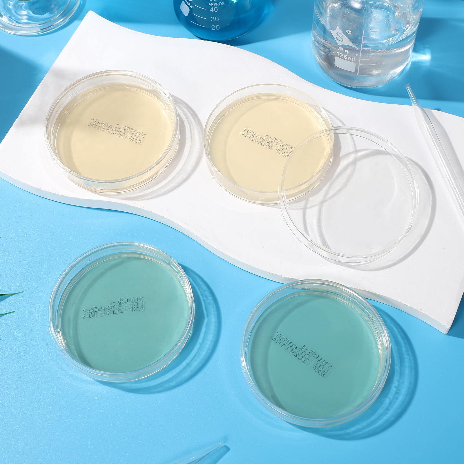 Generic Agar Plates:Prepoured Nutrient Agar Petri Dishes Science Projects Supplies Growth Medium for Mushrooms & Science Fair Projects,10 pcs