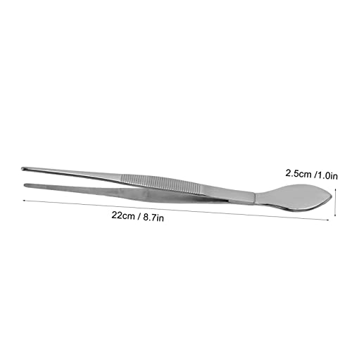 Bonsai Tweezers, Rustproof Bonsai Spatula Tweezers Soil Loosening Tool Straight Tip Easy Maintenance for Courtyard