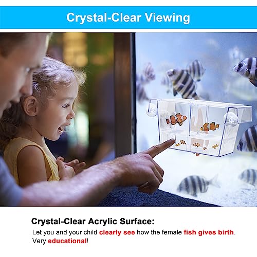 DaToo Fish Breeding Box Aquarium Holding Tank Transparent Fish Isolation Box Acclimation Hatchery Incubator Breeder Box for Baby Fish Betta Shrimp Clownfish Guppy