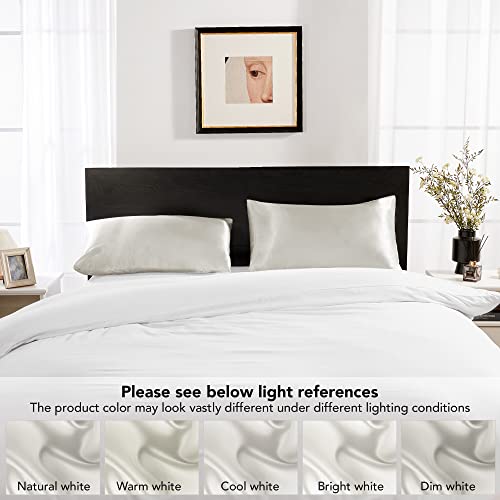 Deconovo Grey Silk Pillowcase Envelope Closure - Satin Pillowcase for Hair and Skin, King Size Set of 2, 20x40 Inch Pillow Protectors (Grey, 20x40 Inch, 2 Pack)