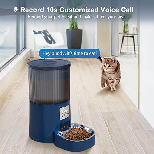 KESTERRA Automatic Cat Feeder, 4L Auto Dry Food Dispenser Small Dog Pet Feeder with 4 Meals Per Day Programmable Timed, 10s Voice Recorder, Twist Lock Lid, Stainless Steel Bowl, Dual Power Supply Blue