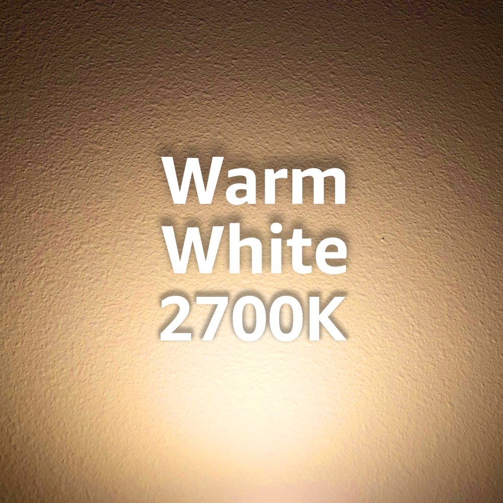 Euri Lighting VG25-2000e LED G25 Bulb, Filament Line, Warm White 2700K, Dimmable, 7.5W (60W Equivalent), 800 lm, Clear, 360 Degree Beam Angle, Damp Rated, E26 Base, UL & E-Star Listed