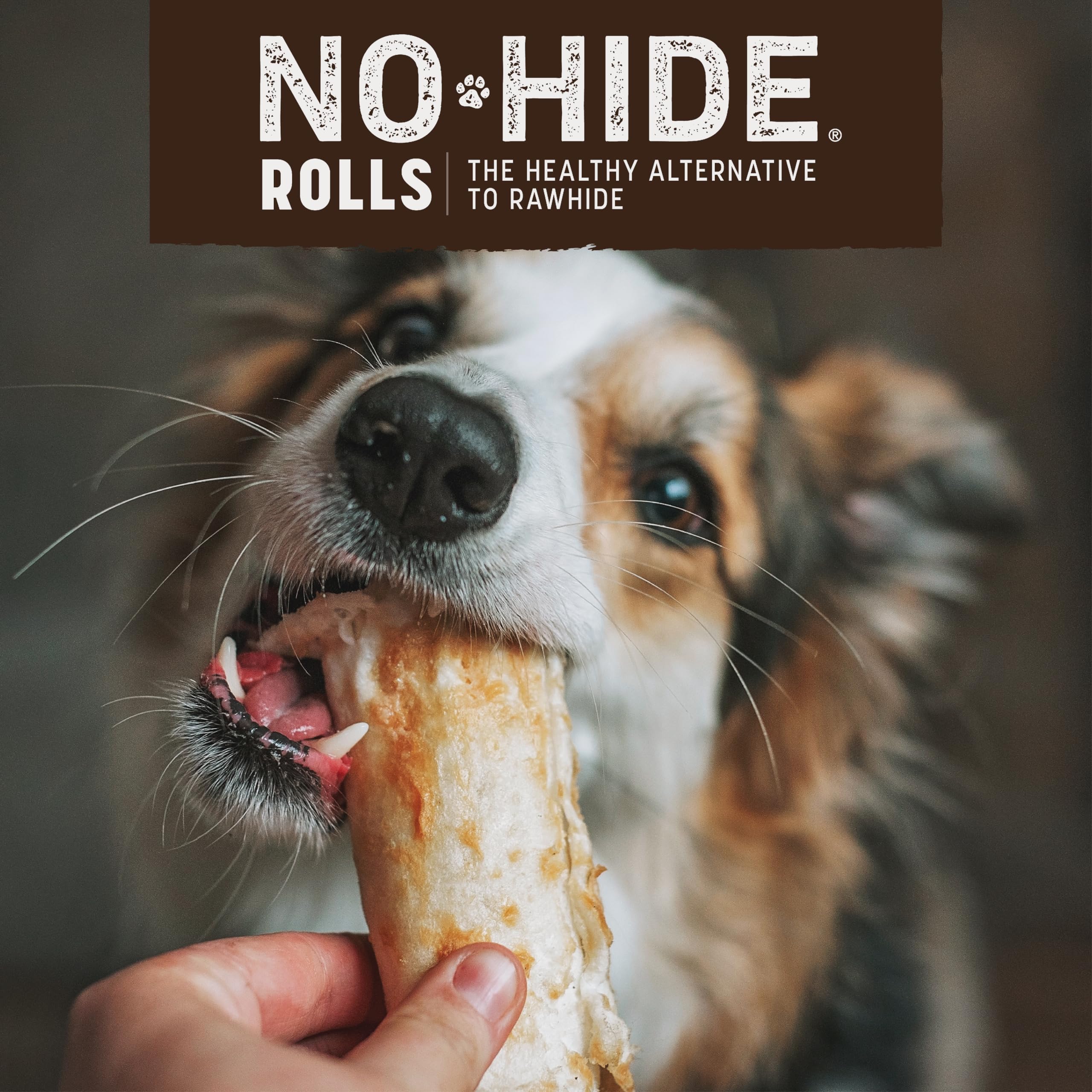 Earth Animal No Hide Small Long Lasting Dog Chew Rolls, Salmon, 2 Count Pack of 3