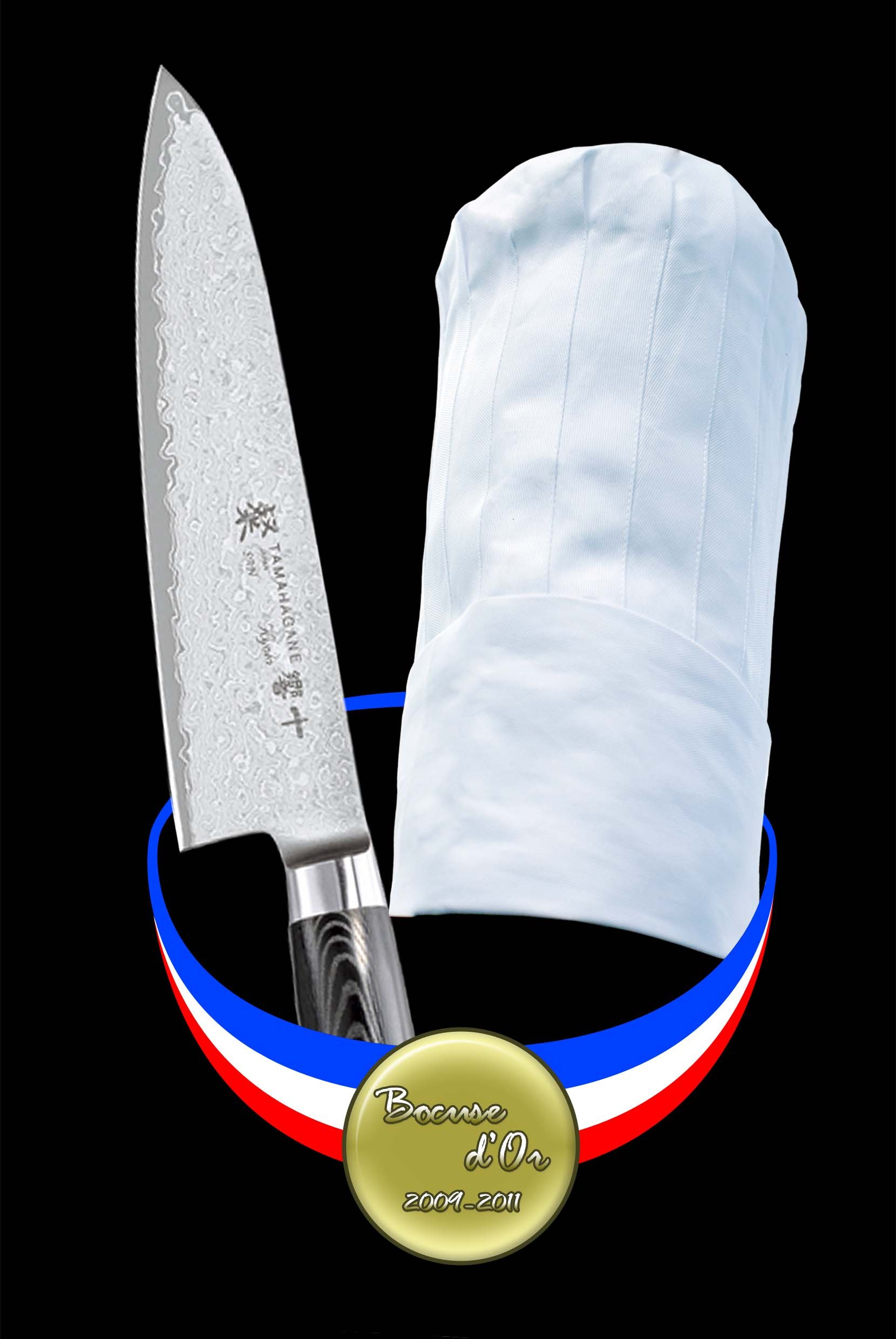 Tamahagane San Kyoto SNK-1105-8 inch, 210mm Chef's Knife