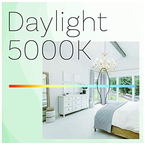 Asencia AN-03676 60 Watt Equivalent B11 All Glass Vintage Filament Dimmable LED Light Bulb, E12 Candelabra Base, 6-Pack, 6 Pack, Daylight (5000K)