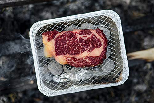 EZGRILL Disposable Charcoal Grill Ideal for Camping and Tailgate Parties -Pack of 2 Small size Portable, Easy To Light, and Convenient charcoal grill Lasts 1.5 hours Grill Anytime, Anywhere