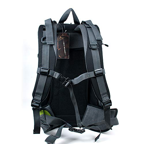 Distrade 40L Outer Frame Hiking Backpack with Rain Cover,Outdoor Sport Travel Daypack for Climbing Camping Touring,High-Performance Green
