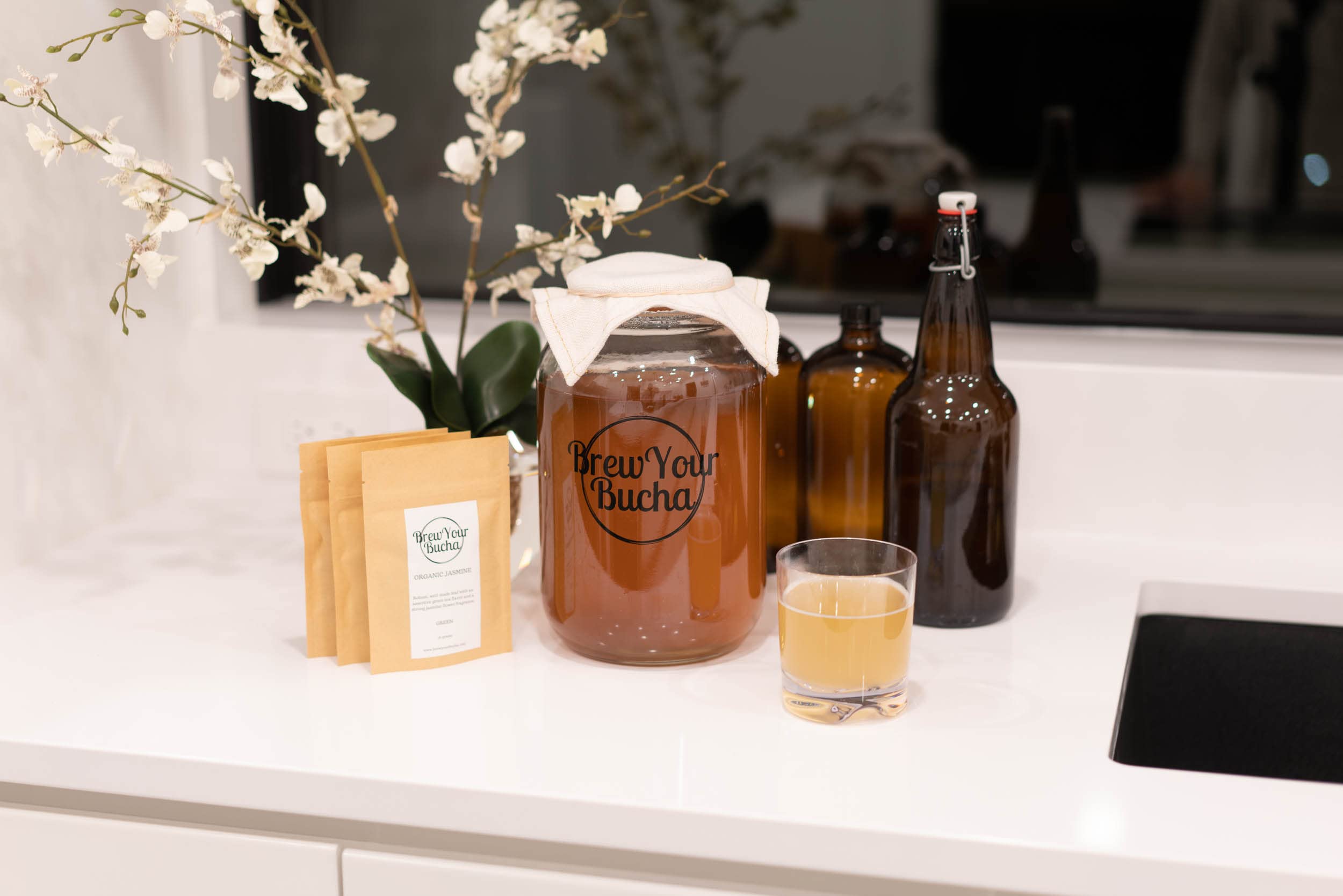 Brew Your Bucha Kombucha Tea SCOBY with Starter Fluid - Kombucha Starter Kit with Scoby, Live Culture, Scoby Kombucha Starter, Kombucha Kit, DIY Kombucha Brewing Kit, Scoby Kombucha Starter (1 Scoby)
